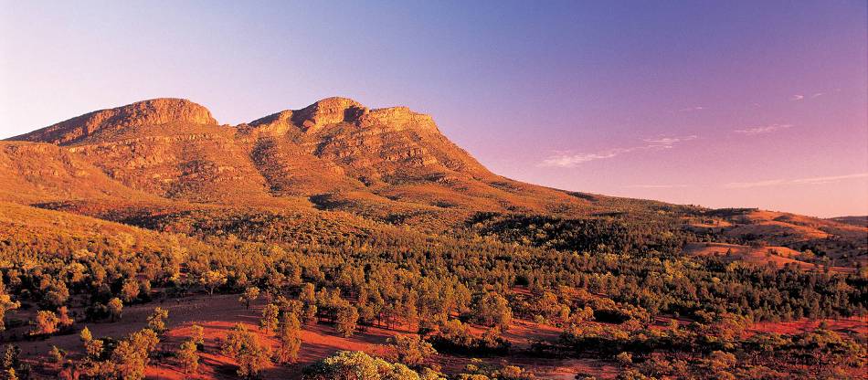 Flinders Ranges & Outback SA | Australian Walking Holidays